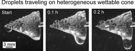 Wettability Gradient Surfaces