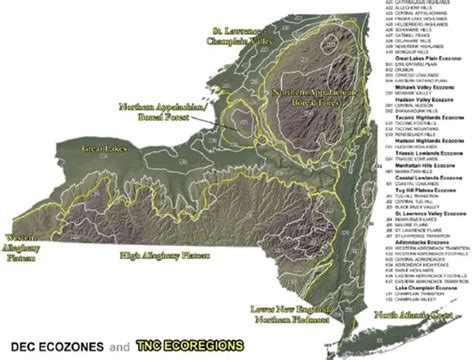 New York Plant Hardiness Zones Climate Soil Conditions The Scientific Gardener