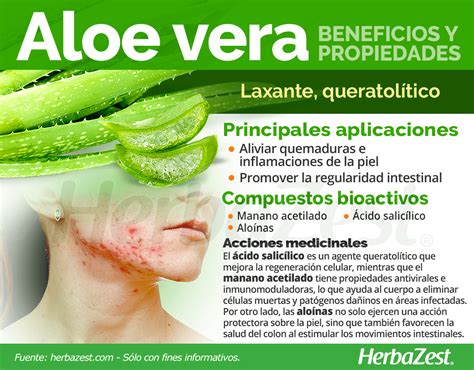 Las Propiedades Del Aloe Vera Y Sus Diferentes Usos Medicinales Hot Sex Picture