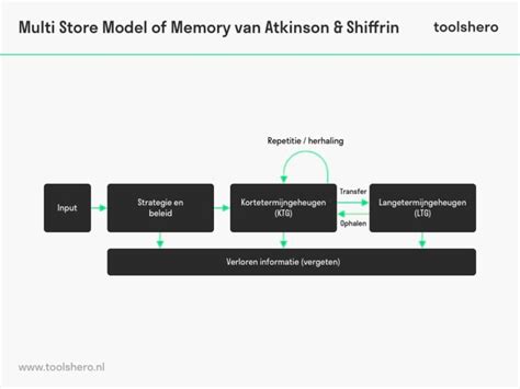 Memory Model Van Atkinson En Shiffrin Toolshero