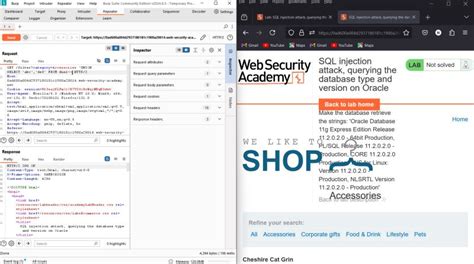 Neha Kumari On Linkedin Portswigger Sql Bruiteforce Infosec Brupsuite