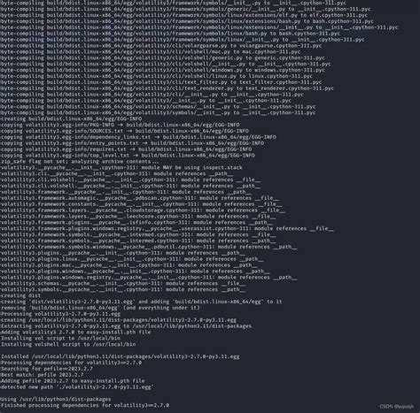 Volatility内存取证