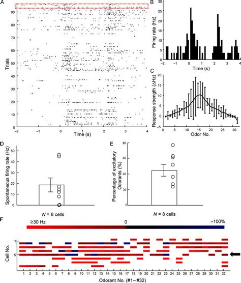 Type Iii Gabaergic Neurons Showed A Transient On And Off Excitatory Download Scientific Diagram