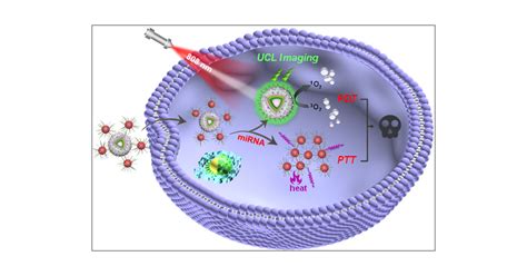 Upconversion Nanoparticleau Coresatellite Assemblies For In Situ Amplified Imaging Of Microrna