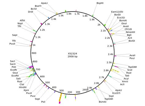 Tutorial Introduction To Ugene