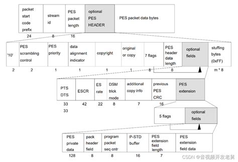 mpeg2 ts流结构详细浅析 ffmpeg mpeg2ts csdn博客
