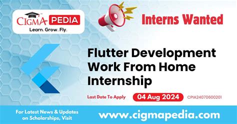 Flutter Development Work From Home Internship By Infoware 2024 How To