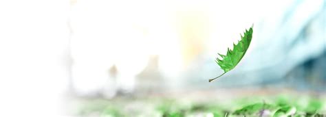 Hyperacusis Symptoms Causes And Treatments