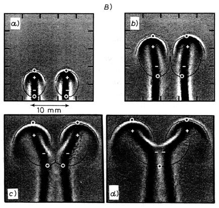 A Evolution In Time Of Interacting Source Sink Pairs B As In Download Scientific