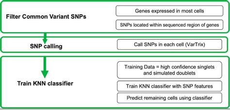 Alfonso Saera Vila On Linkedin 🔬 New Development In Single Cell Rnaseq