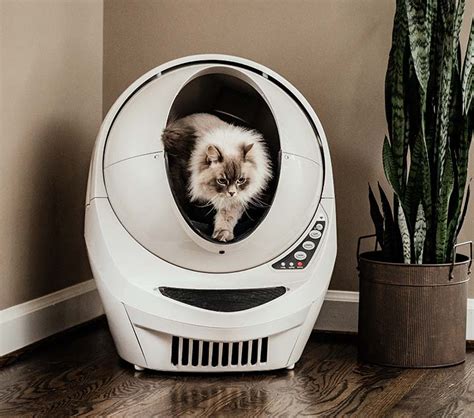 Getting Started With Litter Robot 3 Litter Robot