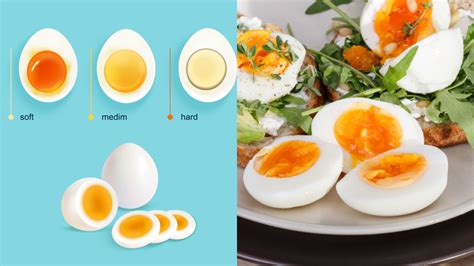 Kumpulan Artikel Telur