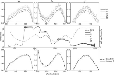 Spectral Signature Smoothing Using A Gaussian Filter With Variable Size