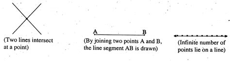 WBBSE Notes For Class Maths Geometry Chapter Points Lines Line Segment Ray And Their