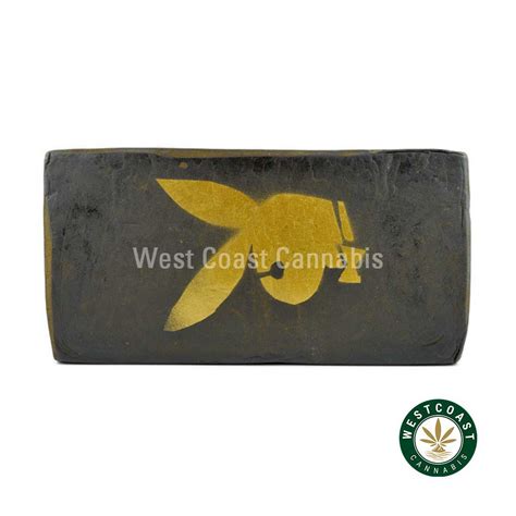 Buy Multi Pack Hash Sample 7g Quarter 7 X 1g Online