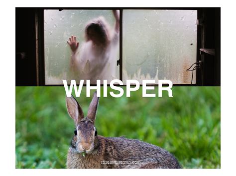 Whisper Writing Prompt