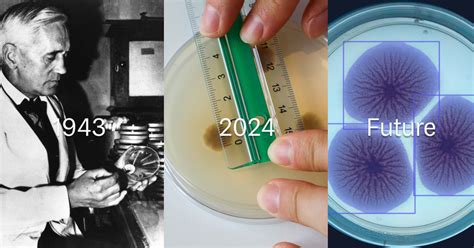 Deeptech Ai Quantumcomputing Biotech Sustainability Healthcare