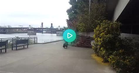 Imgur In A Nutshell Album On Imgur