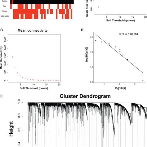Weighted Correlation Network Analysis Identified Twelve Modules In