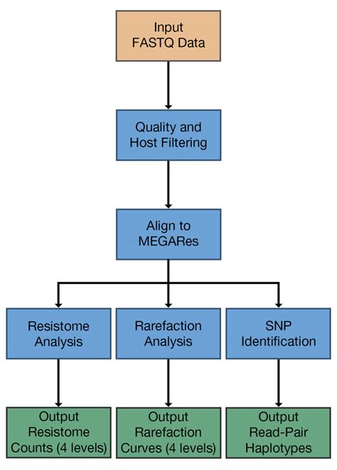 A Pipeline Workflow Diagram Describing The Steps Involved In The Download Scientific Diagram