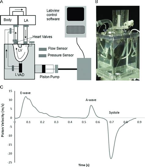 A The Sdsu Cardiac Simulator Is A Mock Circulatory Loop That Download Scientific Diagram