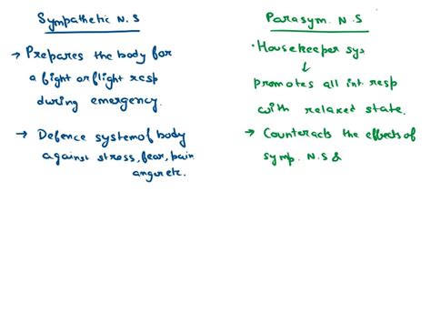 Solved What Is A Primary Difference Between The Sympathetic And Parasympathetic Nervous Systems