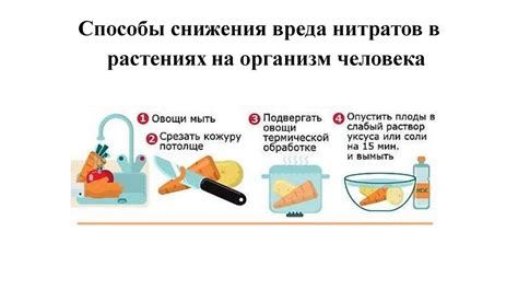 Нитраты и нитриты в овощах и фруктах презентация онлайн