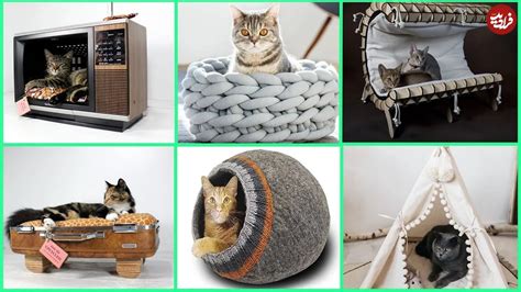 ویدئو 100 ایده جذاب و ساده برای ساخت تخت خواب گربه