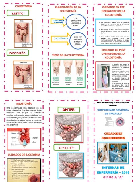 Cuidados Postoperatorios En Colostomía Pdf