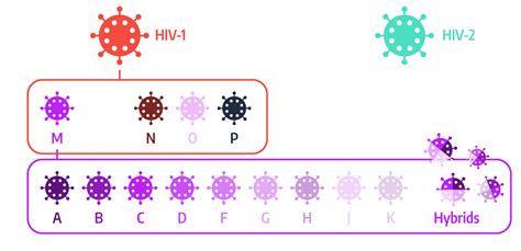 Are There New Types Of HIV
