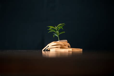 종이나무 재활용을 통해 세상을 구한다는 개념을 보여주는 이 매혹적인 이미지로 우리 시대의 생태 의식을 받아들입니다 지속 가능성을 촉진하여 환경 운동에 동참하십시오 0명에