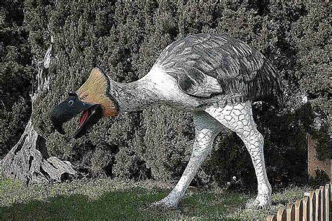 Pictures And Proifles Of Prehistoric Birds