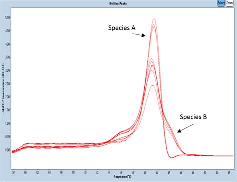 Qpcr Melting Curve Analysis Shows A Shoulder On Both Sides Of The Curve What Does This Mean