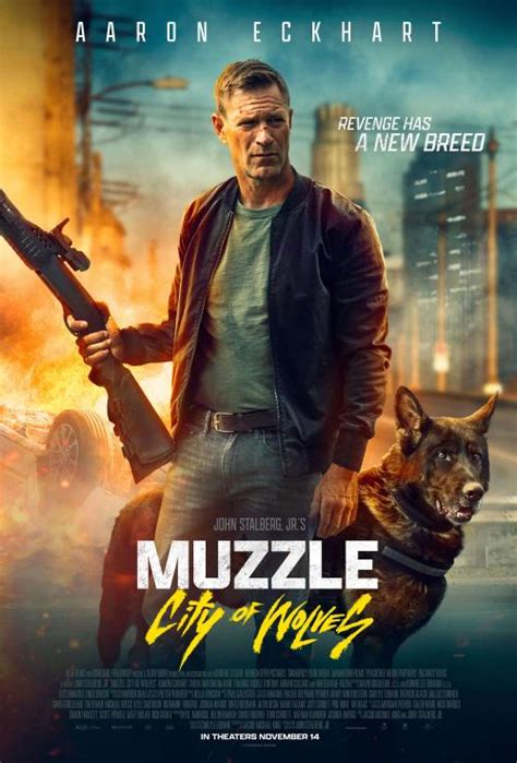 Featured Movieboxpro