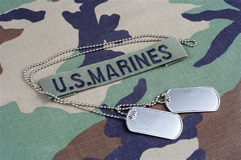 테이프 및 숲 위장 제복에 개 태그를 분기 하는 미국 해병대 미국 군사에 대한 스톡 사진 및 기타 이미지 미국 군사 Us 우드랜드 위장 무늬 검은색 Istock