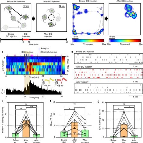 Design And Features Of The Wireless Neural Probe System With Drug Download Scientific Diagram