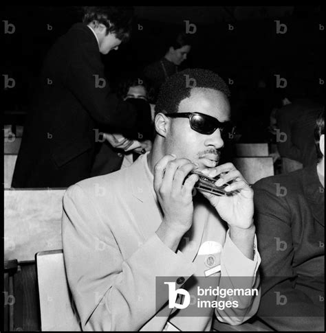 Stevie Wonder Harmonica