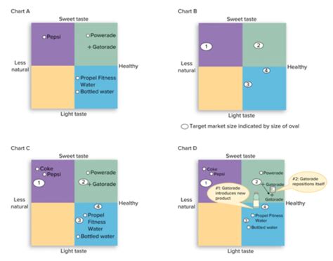 6 Segmentation Targeting And Positioning Flashcards Quizlet