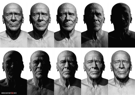 Human Male Face Reference