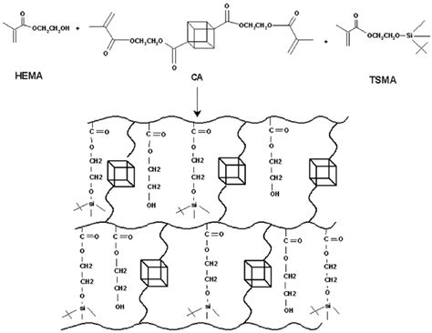 Scheme I Preparation Of Cross Linked Copolymers Containing Silyl Group