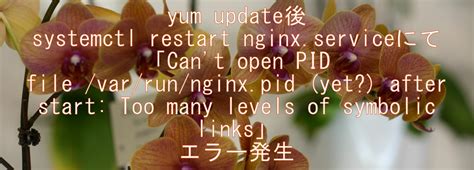 Yum Update後 Systemctl Restart Rviceにて「cant Open Pid File Var