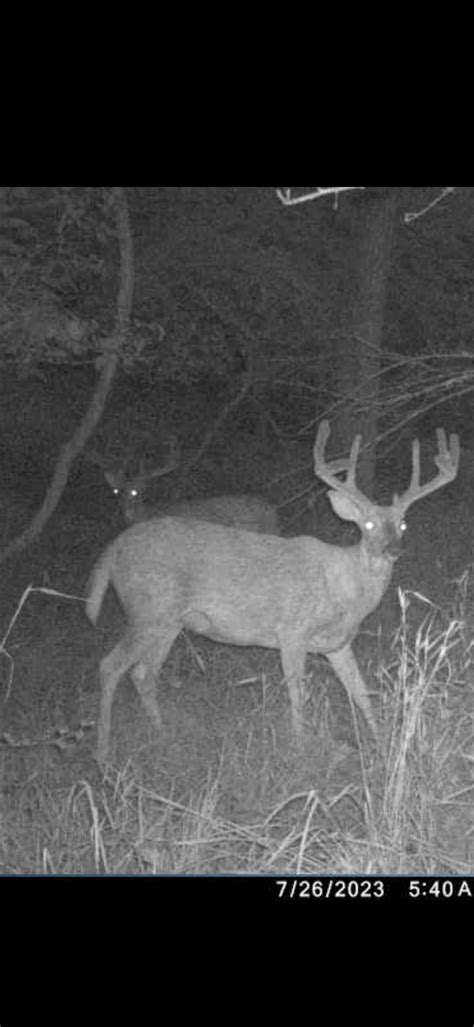 Were Having Twins Scrolller