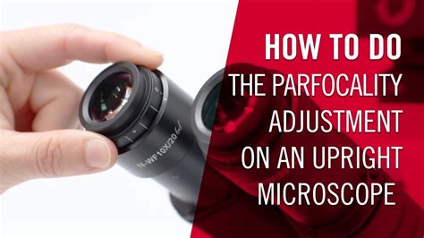 How To Do The Parfocality Adjustment On An Upright Microscope By