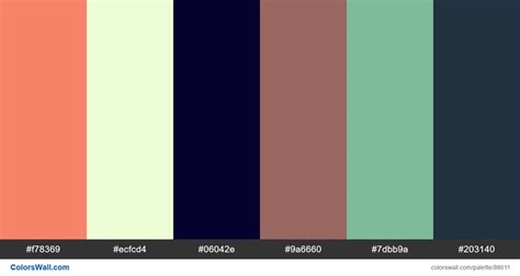 Girl Programming With Color Palette