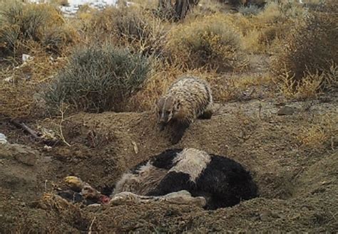 8afce767 D4f6 4d10 9801 C8c356aa3568 Large36x2520160118z01180224jpeg