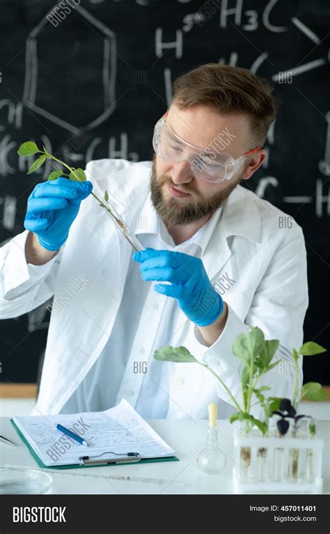 Biologist Conducts Image And Photo Free Trial Bigstock