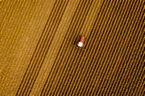 Daff Prioritises Traceability With New Grant Program Food And Drink