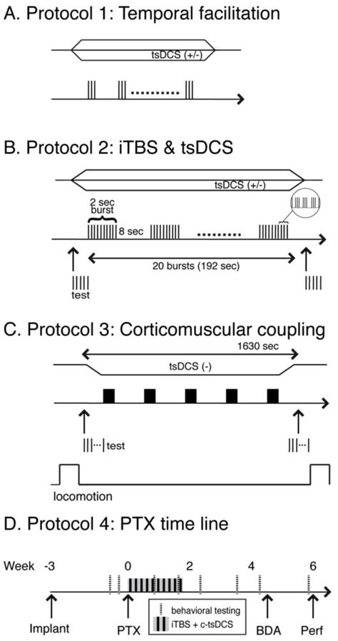Combined Motor Cortex And Spinal Cord Neuromodulation Promotes Corticospinal System Functional