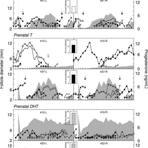Ovarian Follicular Dynamics Determined By Ultrasonography For 25 D In