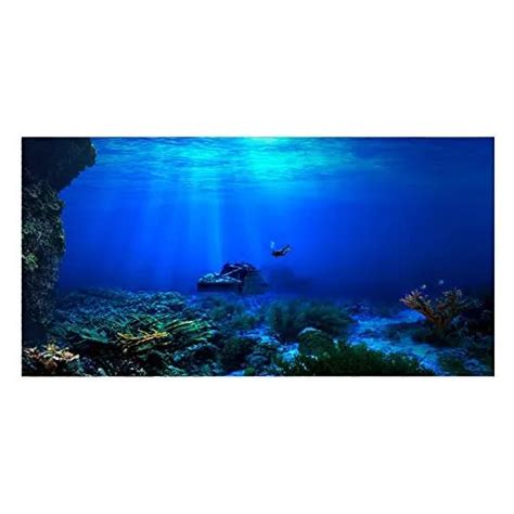 Fondo De Acuario Fondo De Pecera De Pvc Autoadhesivo E Cuotas Sin